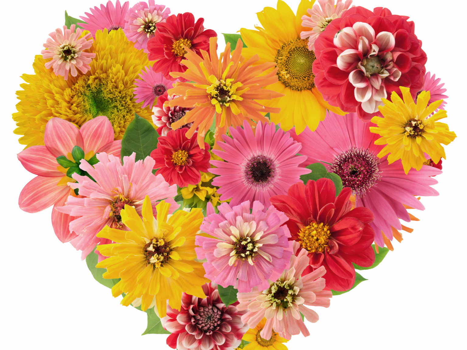 Love is in the Air: Creative Ideas for an Unforgettable Valentine's Day ...