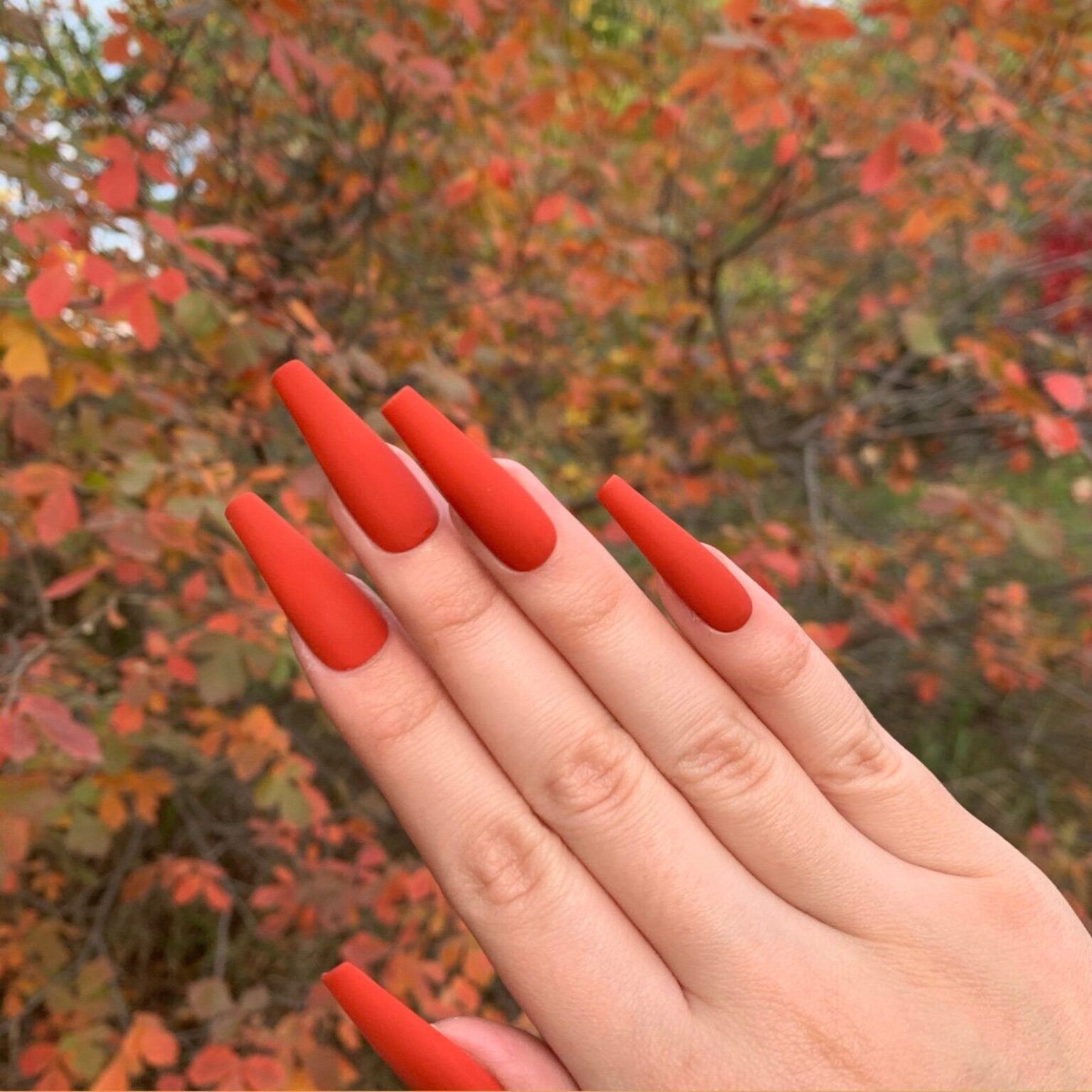 Embrace The Beauty of September Nails: Captivating Nail Designs to ...